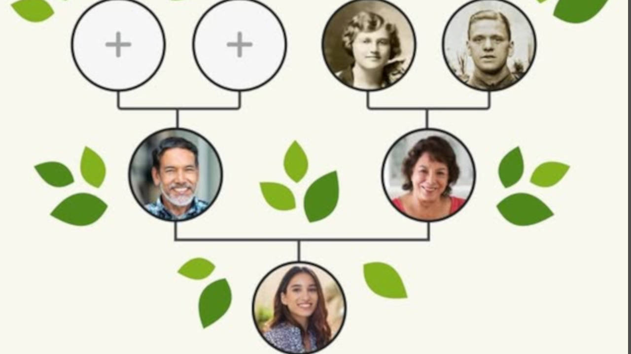 The Genealogy of Hernandez Fernandez family of Calabanga - CB360